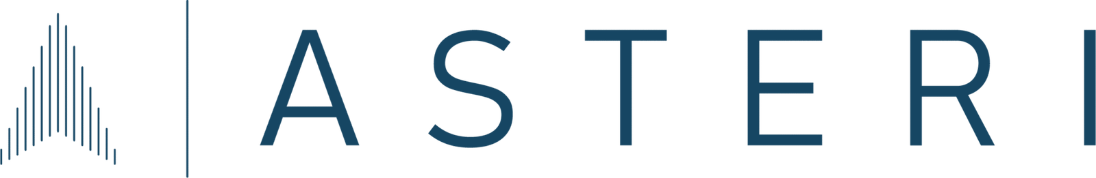 Skaitmeninė rinkodara verslui | Asteri